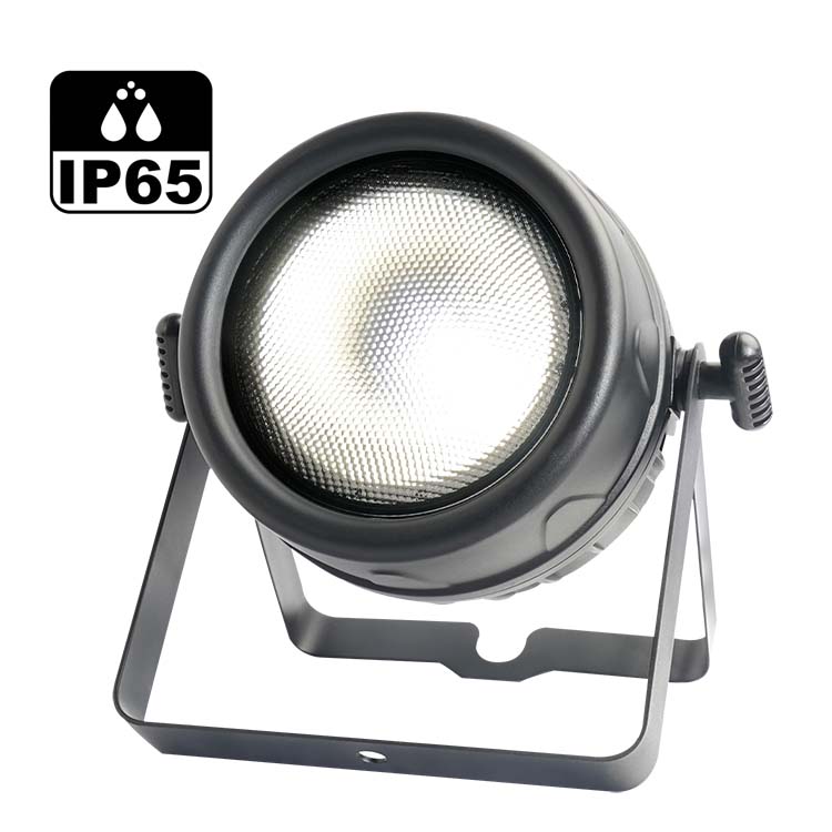China 250W Waterproof RGBW LED Par Can Light Manufacture and Factory ...
